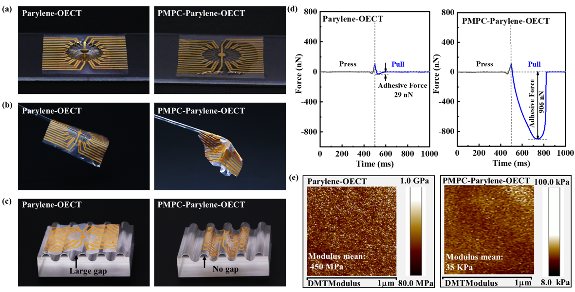 上海大学朱波教授团队和王林军教授团队Chem. Eng. J.: 具有生物防污、柔性和高适形性的仿生OECT生物电子器件阵列-上海大学材料科学 ...